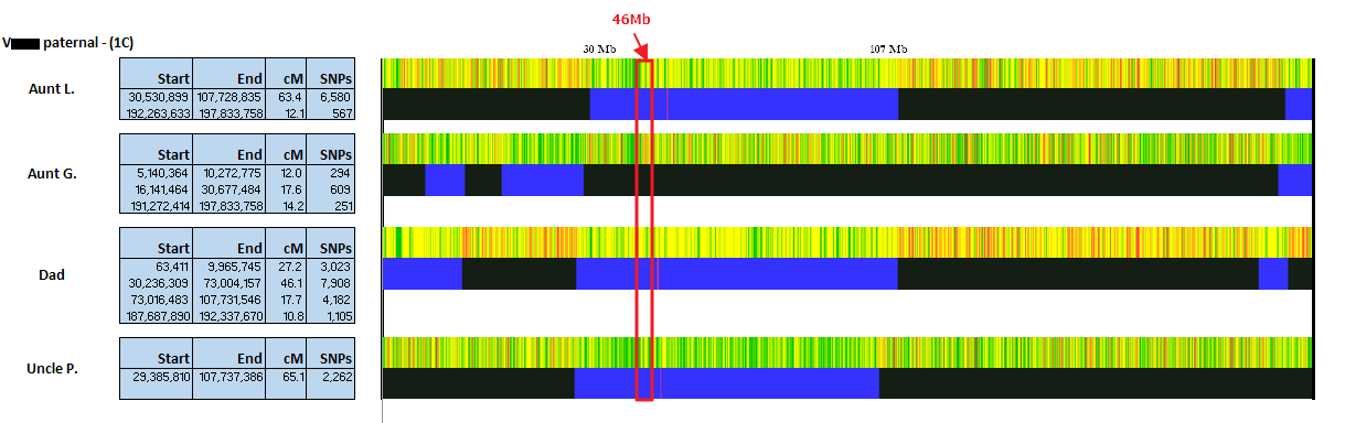 CCR5 Delta32 Mutation – Genetic Genealogy Girl